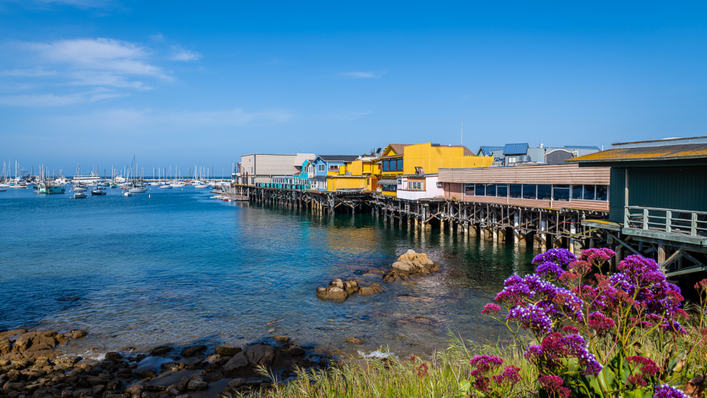 Highway 1 Kalifornien – Die schönsten Stopps für deine Route ...
